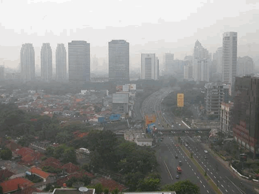 Polusi Udara Memperburuk Kanker Paru Paru